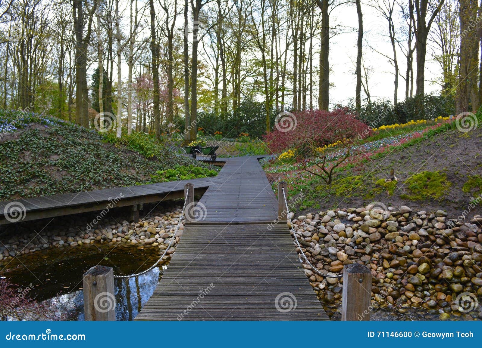 Garden boardwalk stock photo. Image of colourful, attraction - 71146600