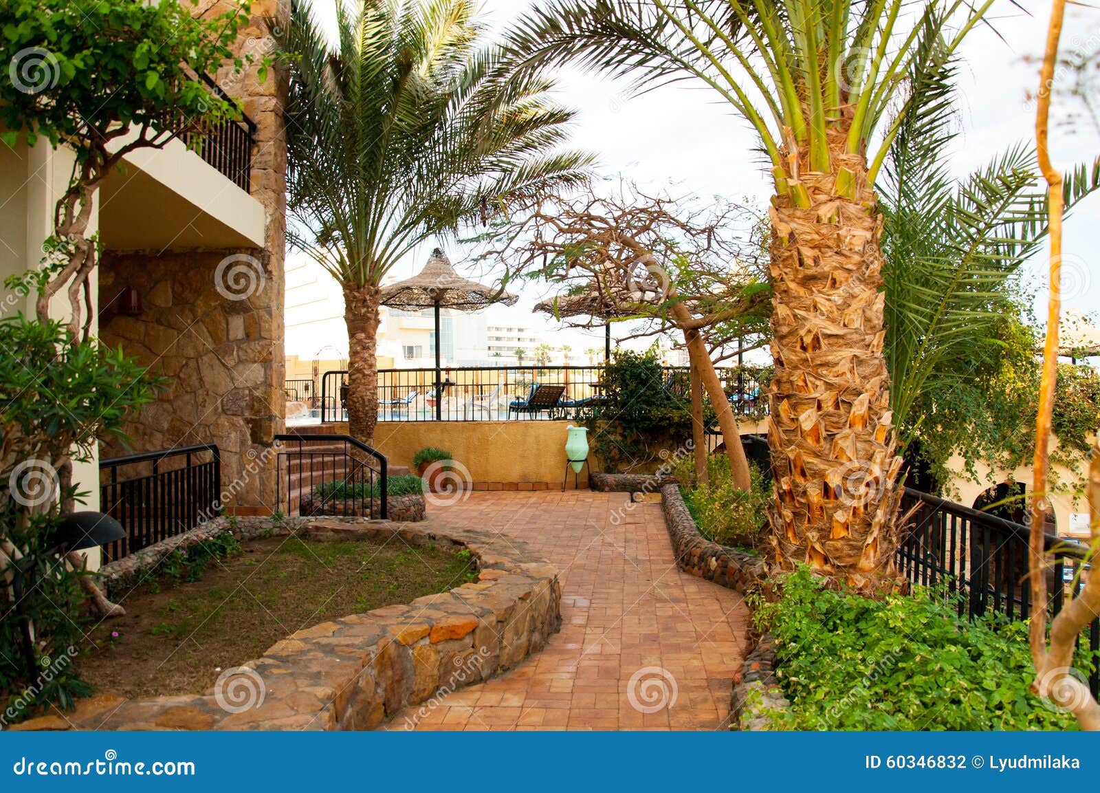 A Garden with a Brick Footpath Stock Photo - Image of away, park: 60346832