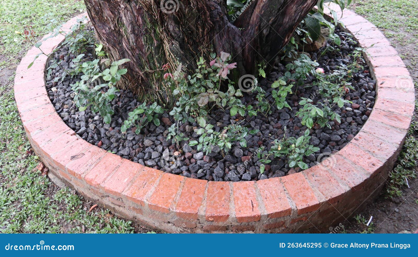 Garden Bricks Pot Stone Plants Stock Image - Image of shrub, woodland ...