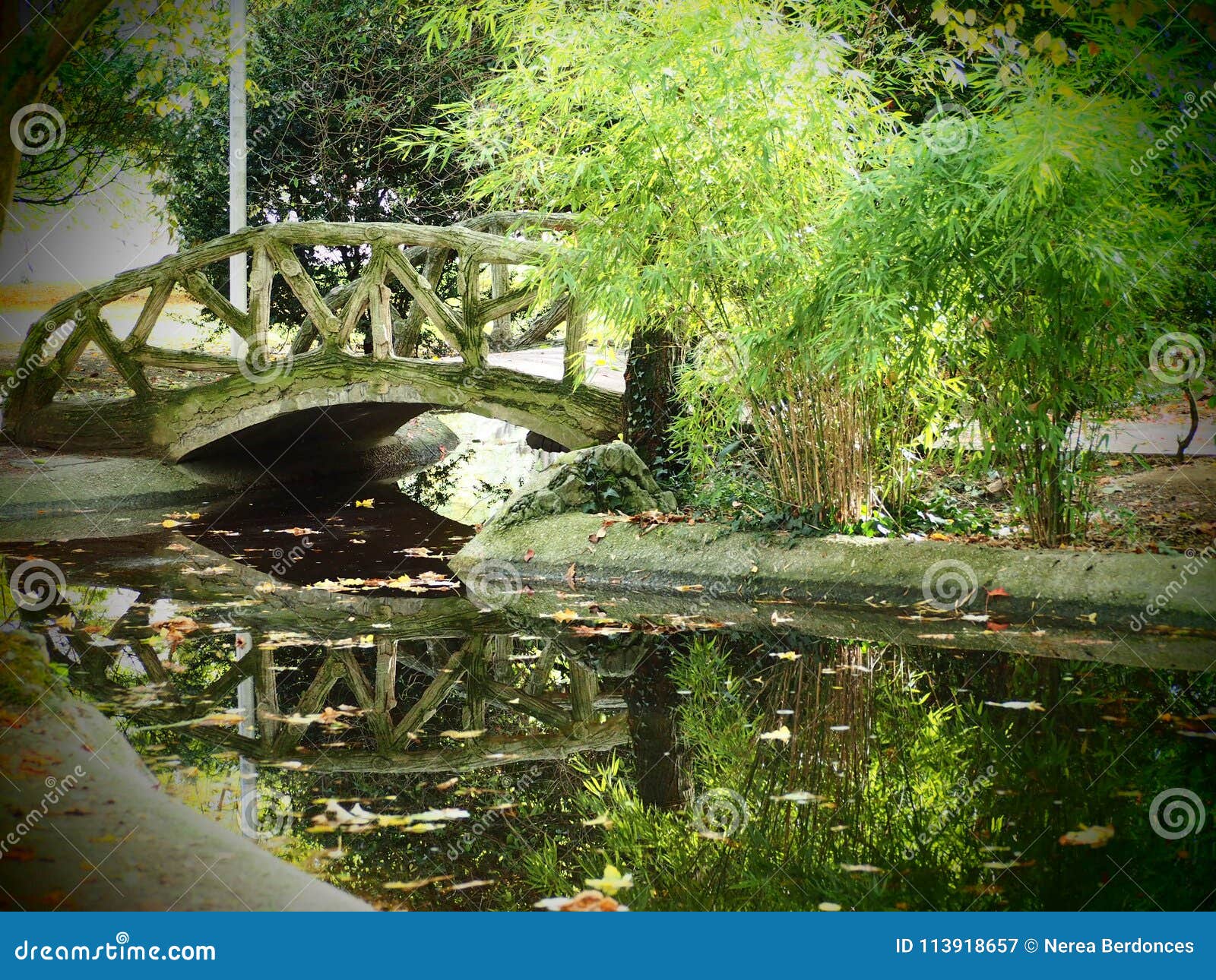 Garden bridge stock image. Image of bridge, reflect - 113918657