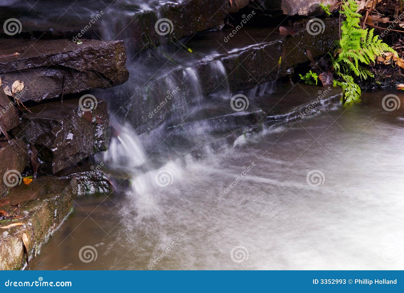 Garden Brook stock image. Image of cascading, flowing - 3352993