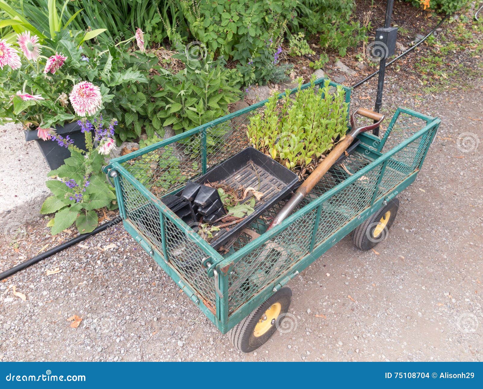 Garden Cart stock photo. Image of gardener, horticulture - 75108704