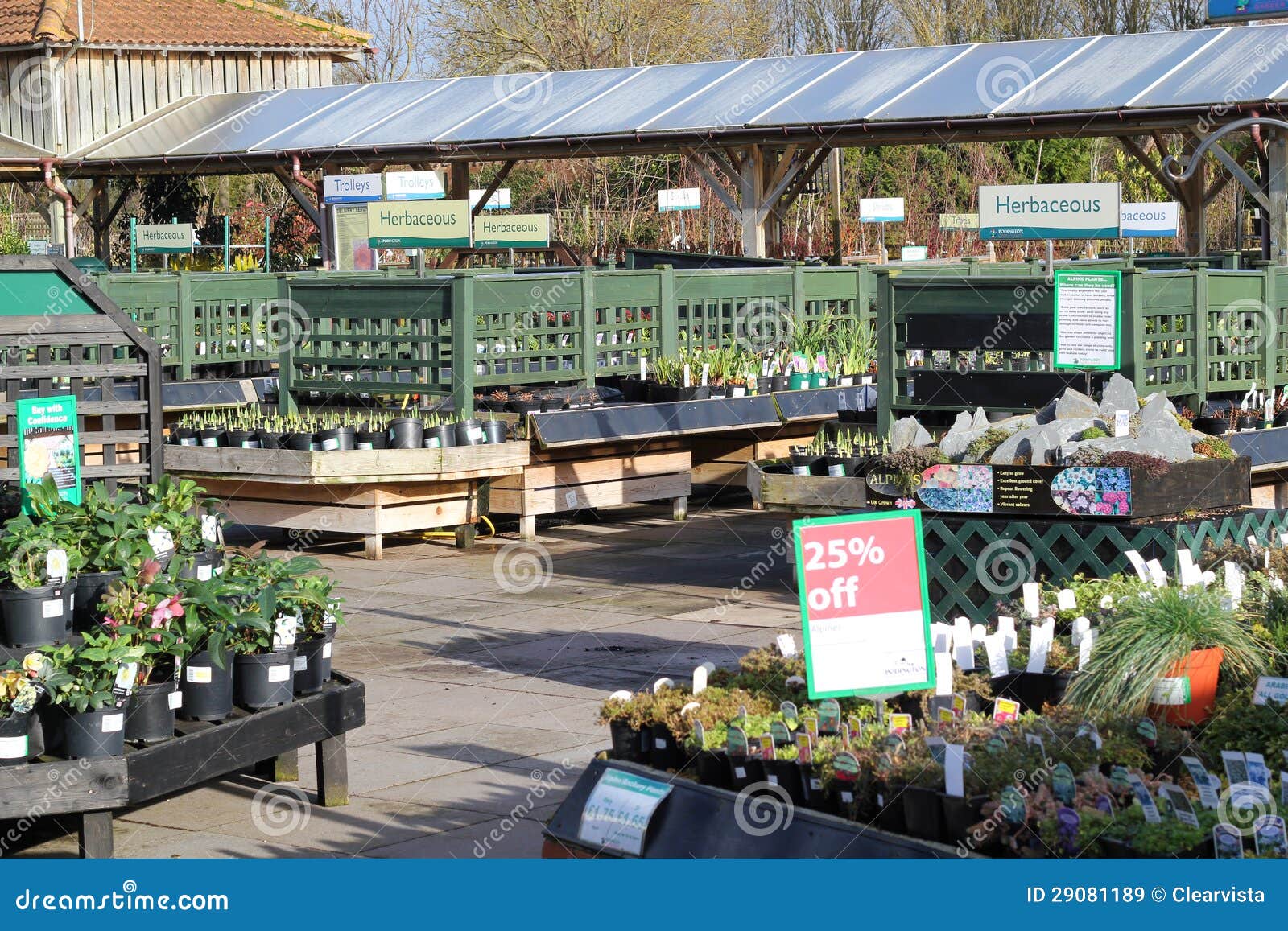 Garden Center Plants for Sale. Editorial Stock Image - Image of center ...
