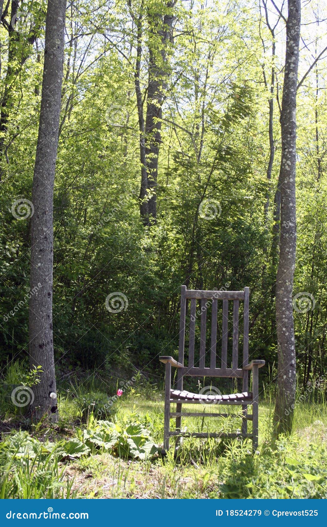 Garden chair with trees stock image. Image of green, leaf - 18524279