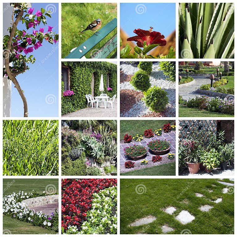 Garden collage stock photo. Image of green, floral, ornamental - 16471106