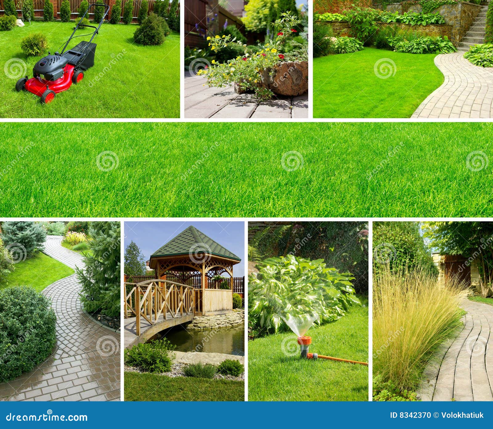 Garden collage stock photo. Image of exposure, environmental - 8342370