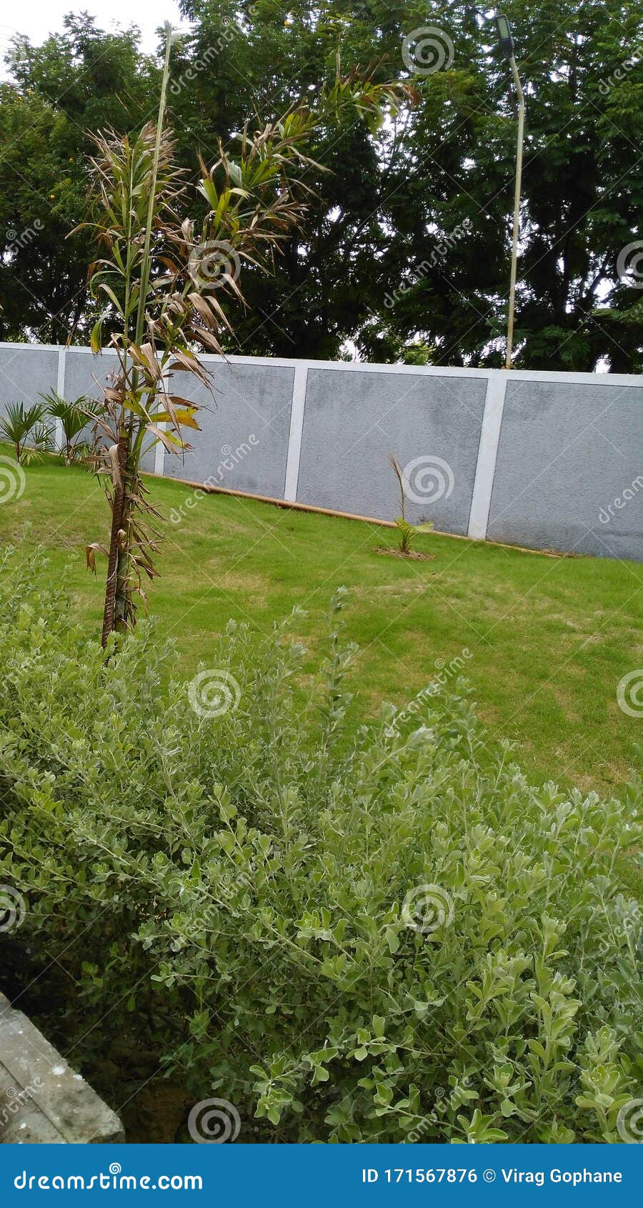 Garden with compound stock photo. Image of garden, inside - 171567876