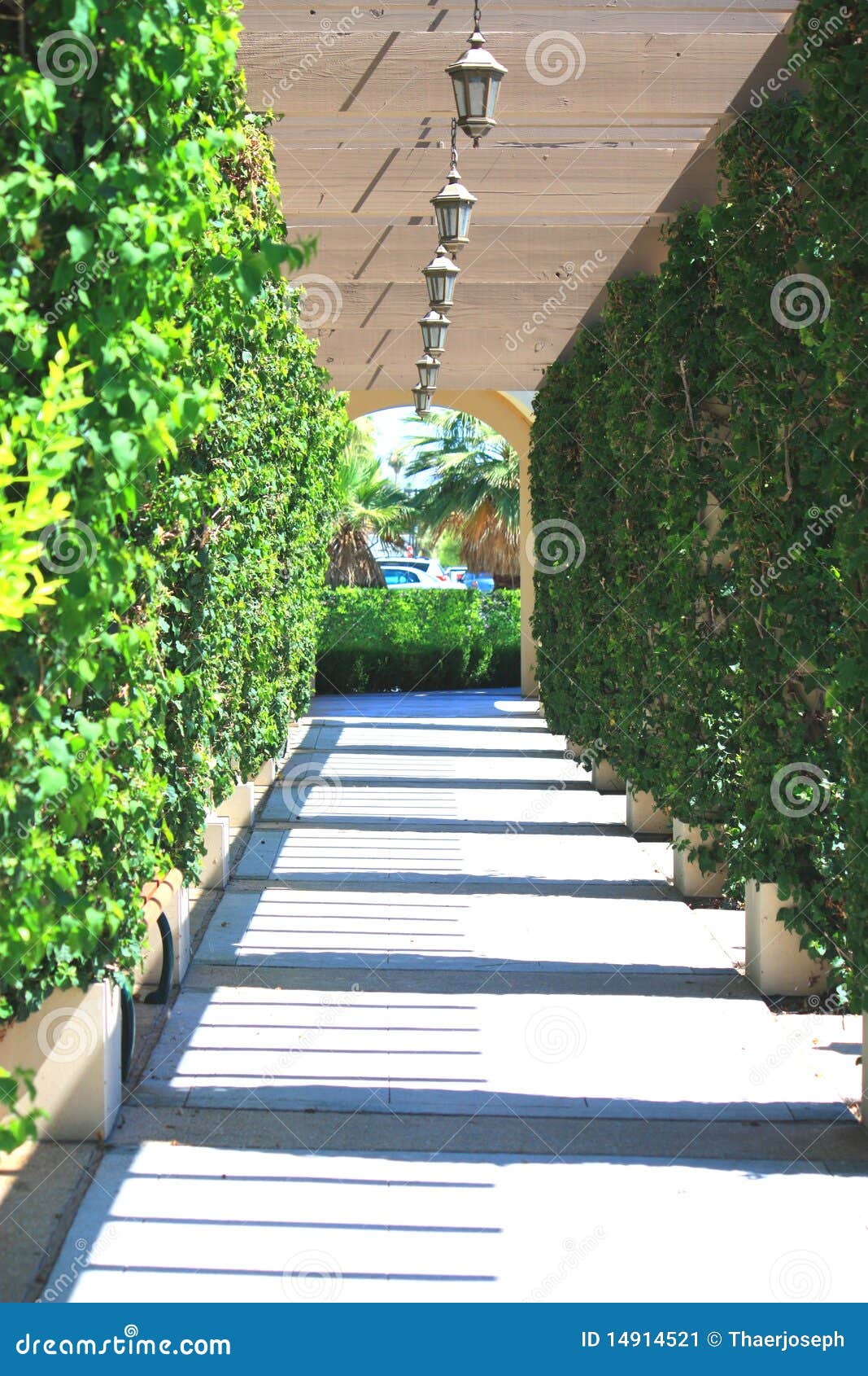 Garden Corridor stock image. Image of culture, entrance - 14914521