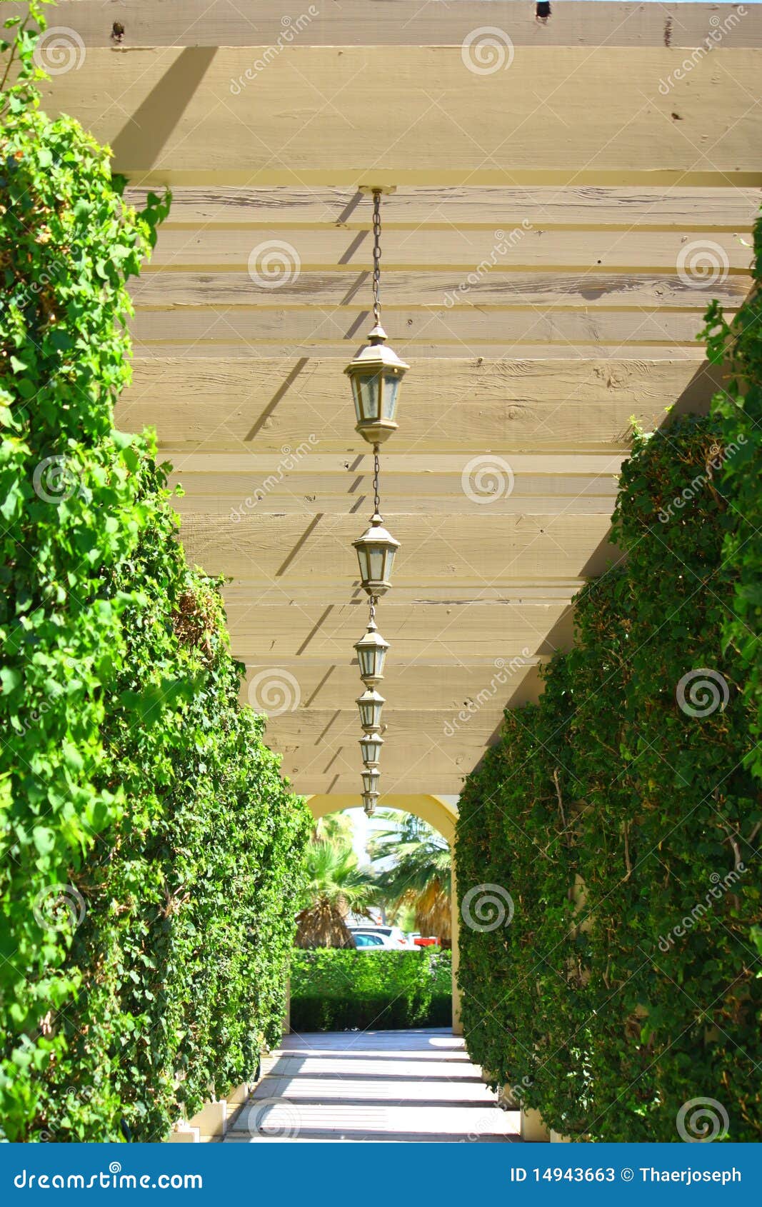 Garden Corridor stock image. Image of green, entrance - 14943663