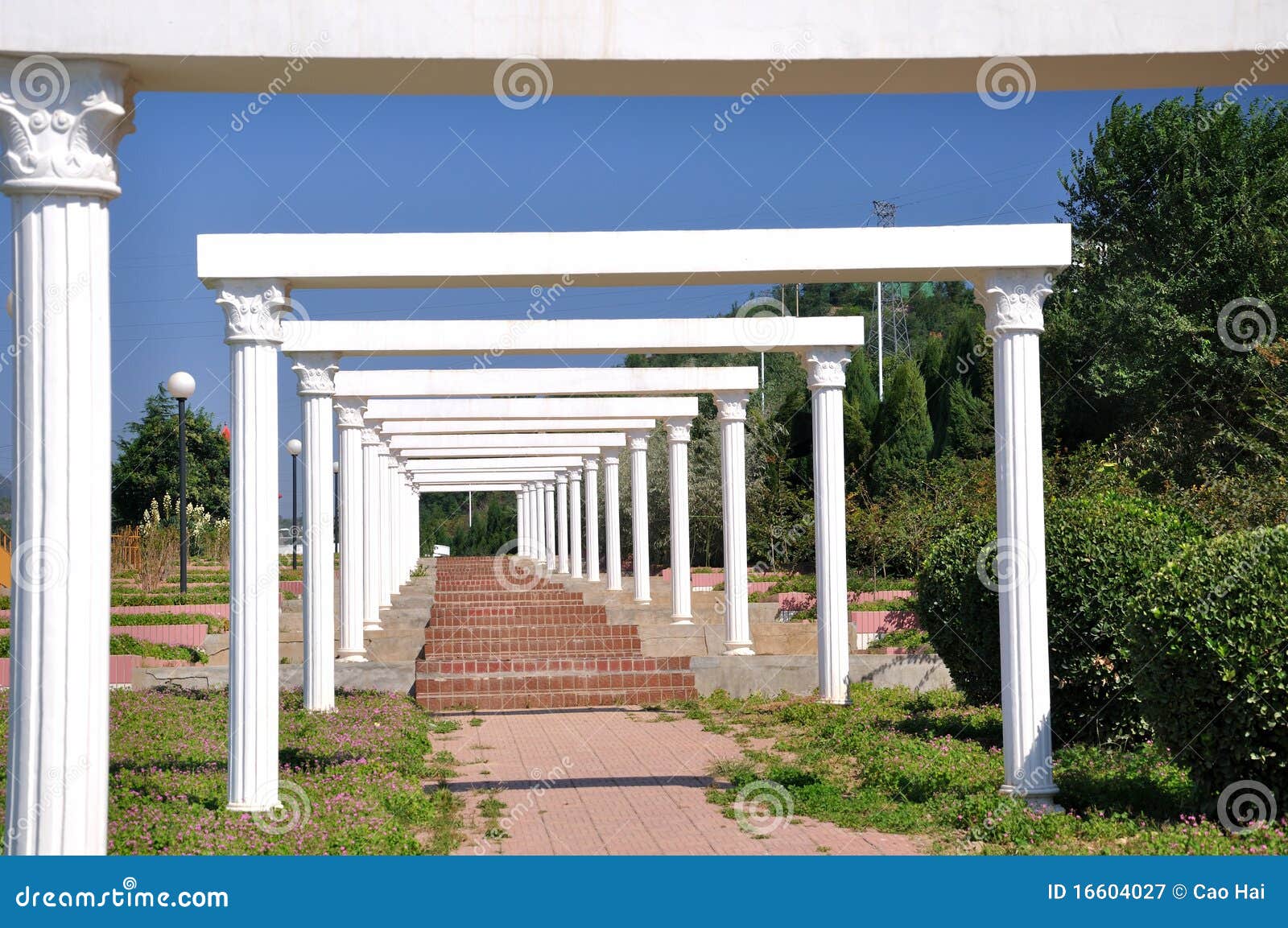 Garden Corridor with White Frame Stock Image - Image of blue, aisle ...