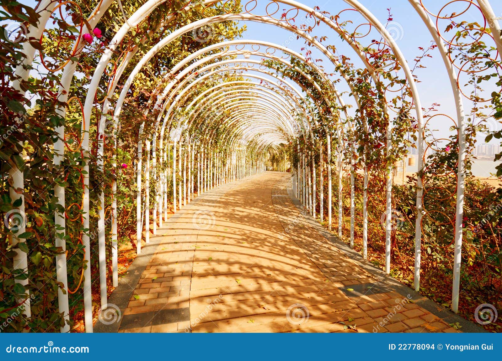 Garden and corridors stock photo. Image of corridor, fresh - 22778094