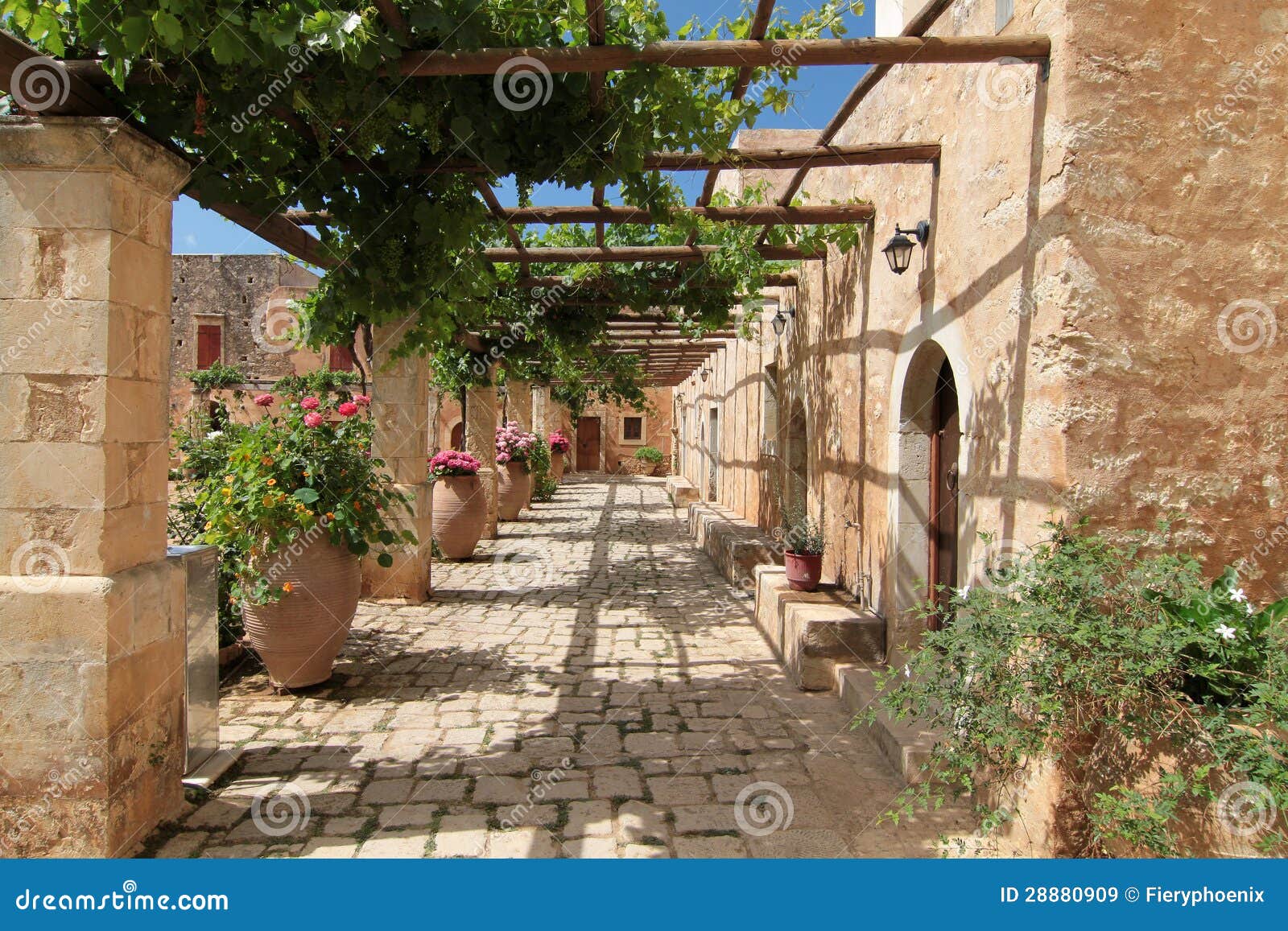 Garden Courtyard Transformed Into A Disco Party Setup For The Evening ...