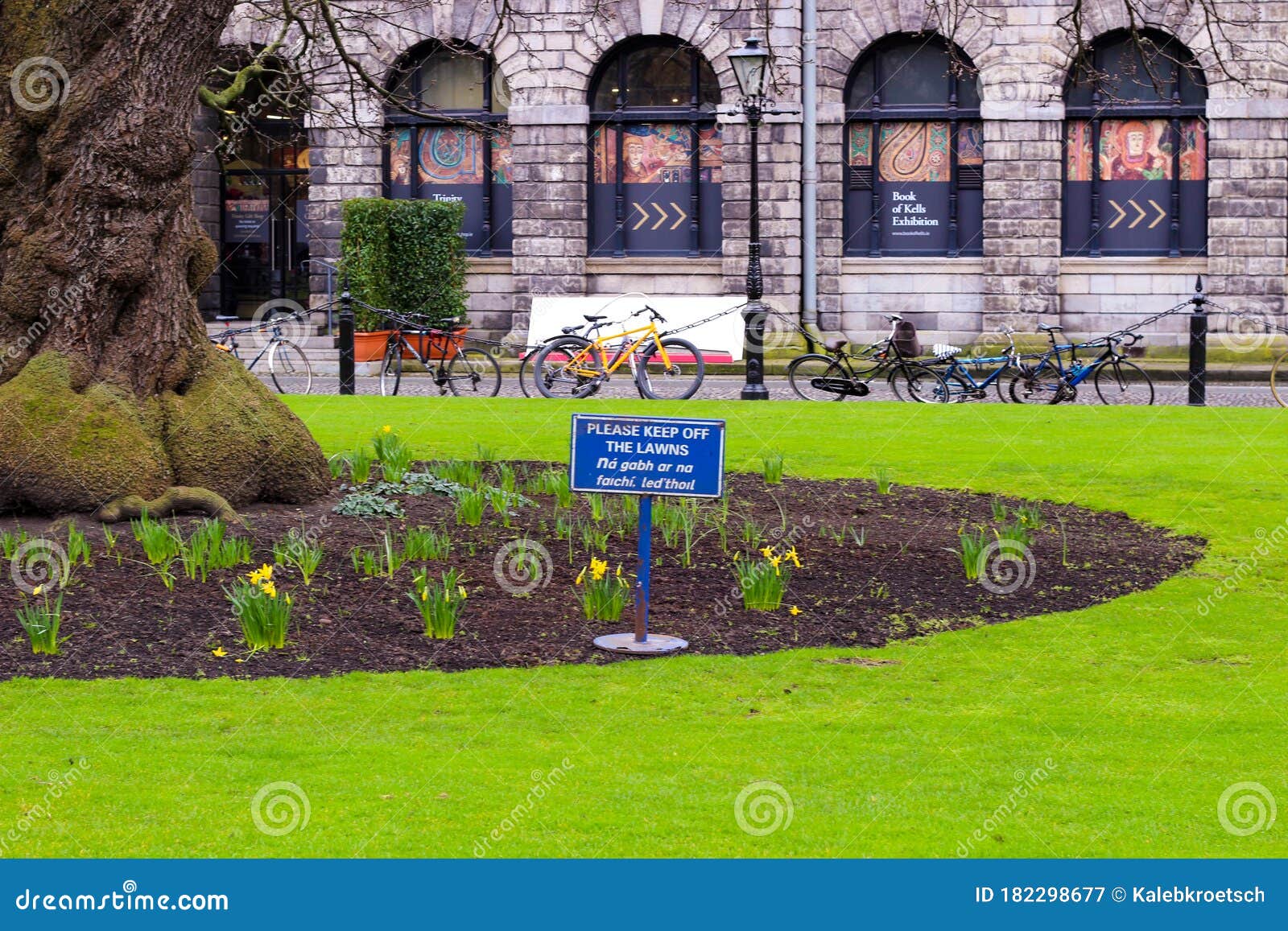 The Garden Of Trinity Cathedral Stock Photography | CartoonDealer.com ...