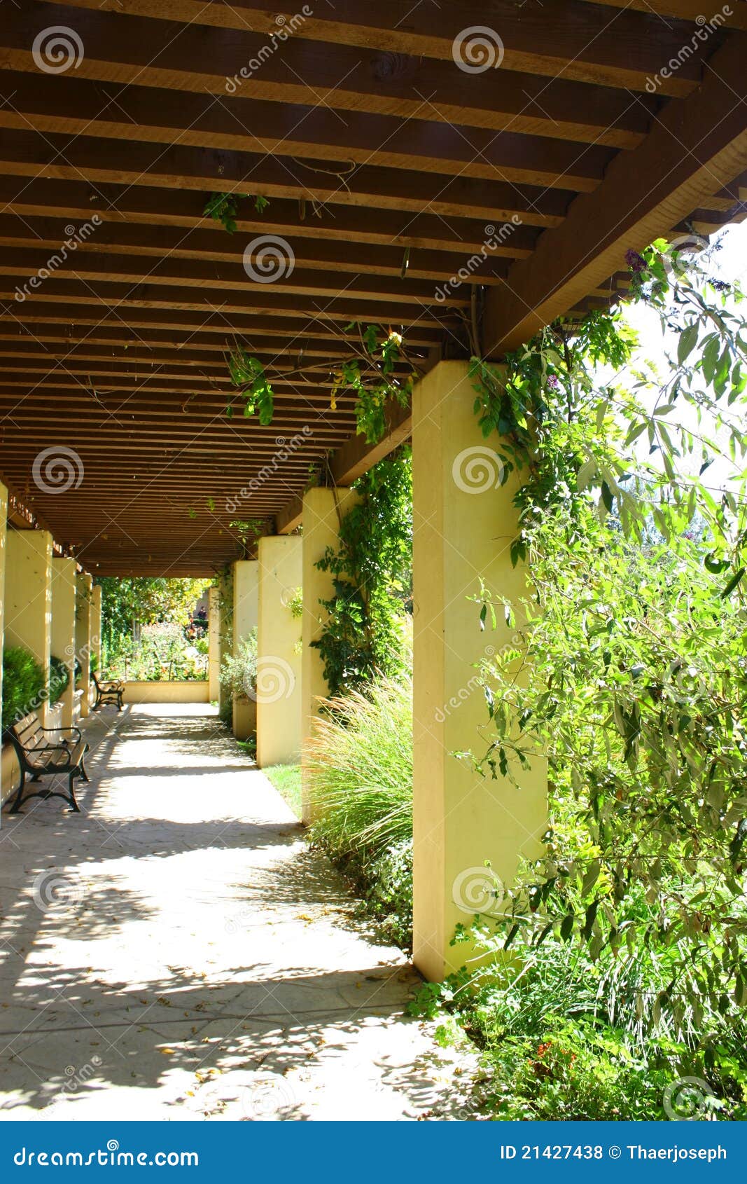 Garden Covered Corridor stock photo. Image of garden - 21427438