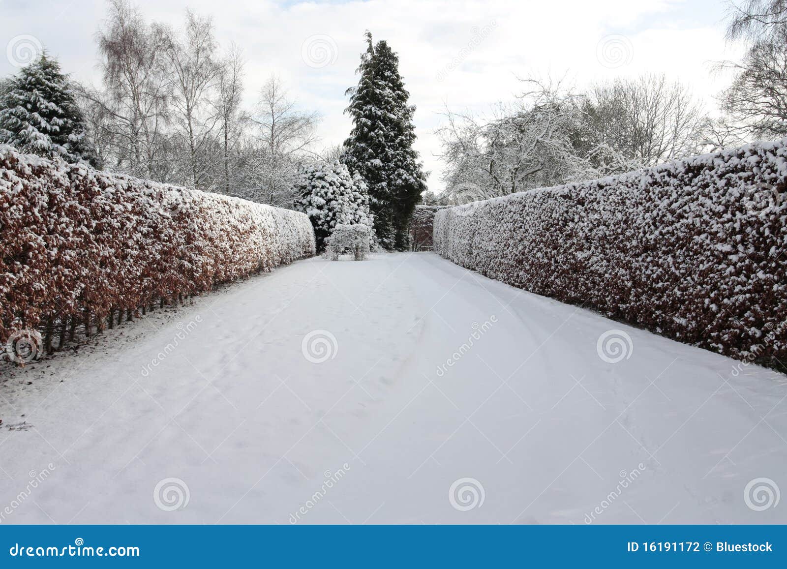 Garden Covered in Deep Snow Stock Photo - Image of cold, calm: 16191172