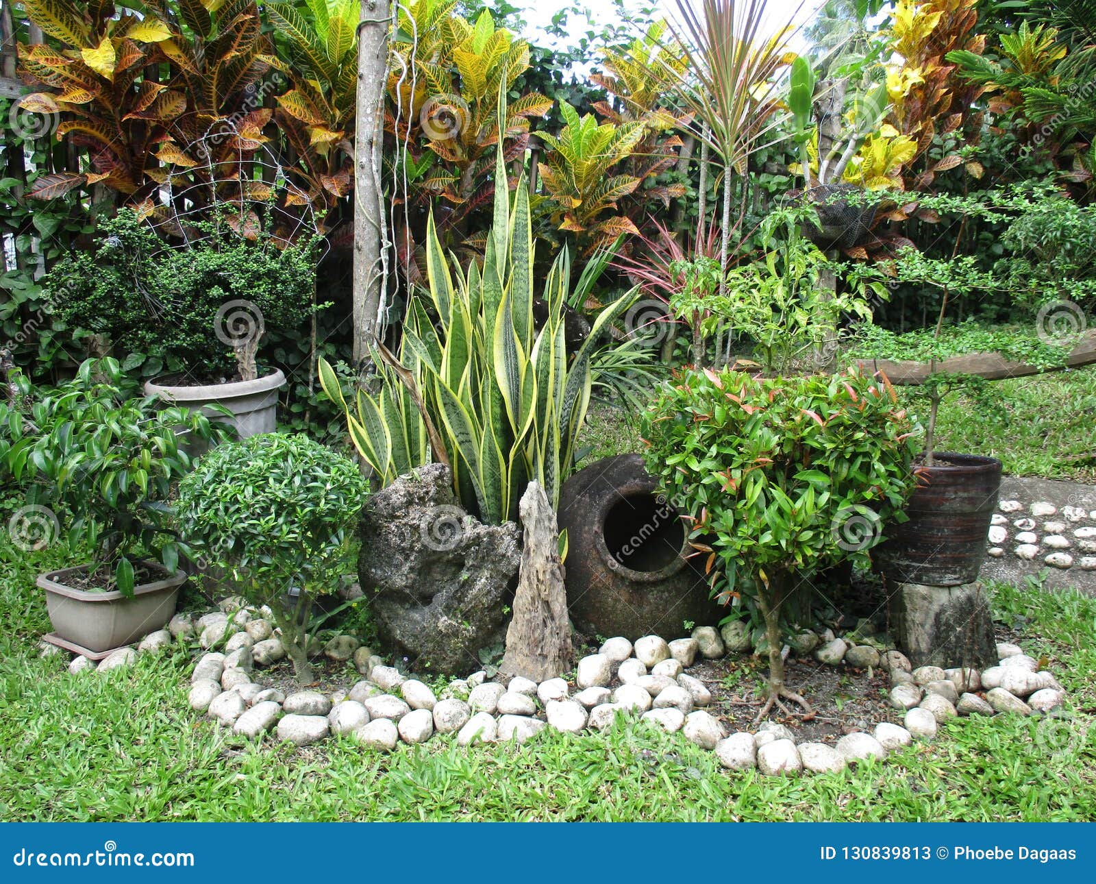 The Garden stock image. Image of plants, organized, objects - 130839813