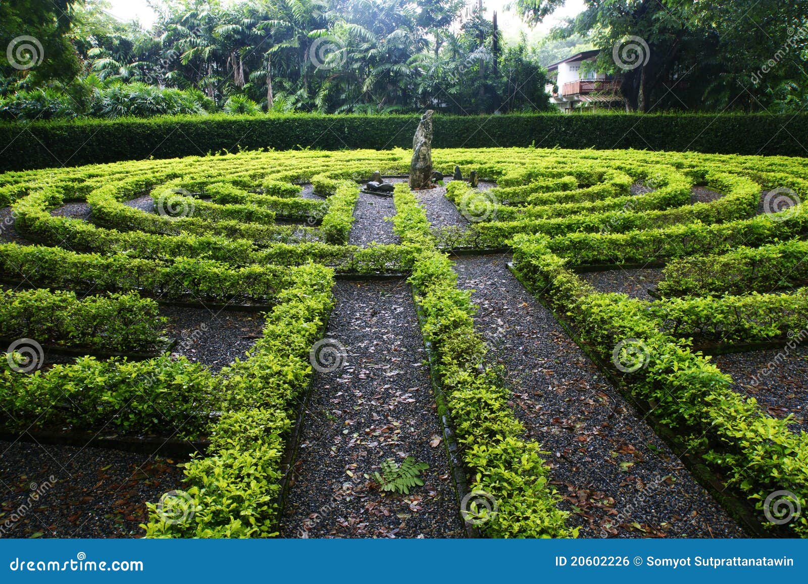 Garden design stock photo. Image of design, trail, tree - 20602226