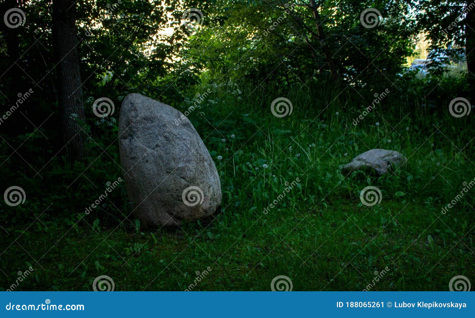 Garden Design: the Big Stones on the Green Grass Around the Trees Stock ...
