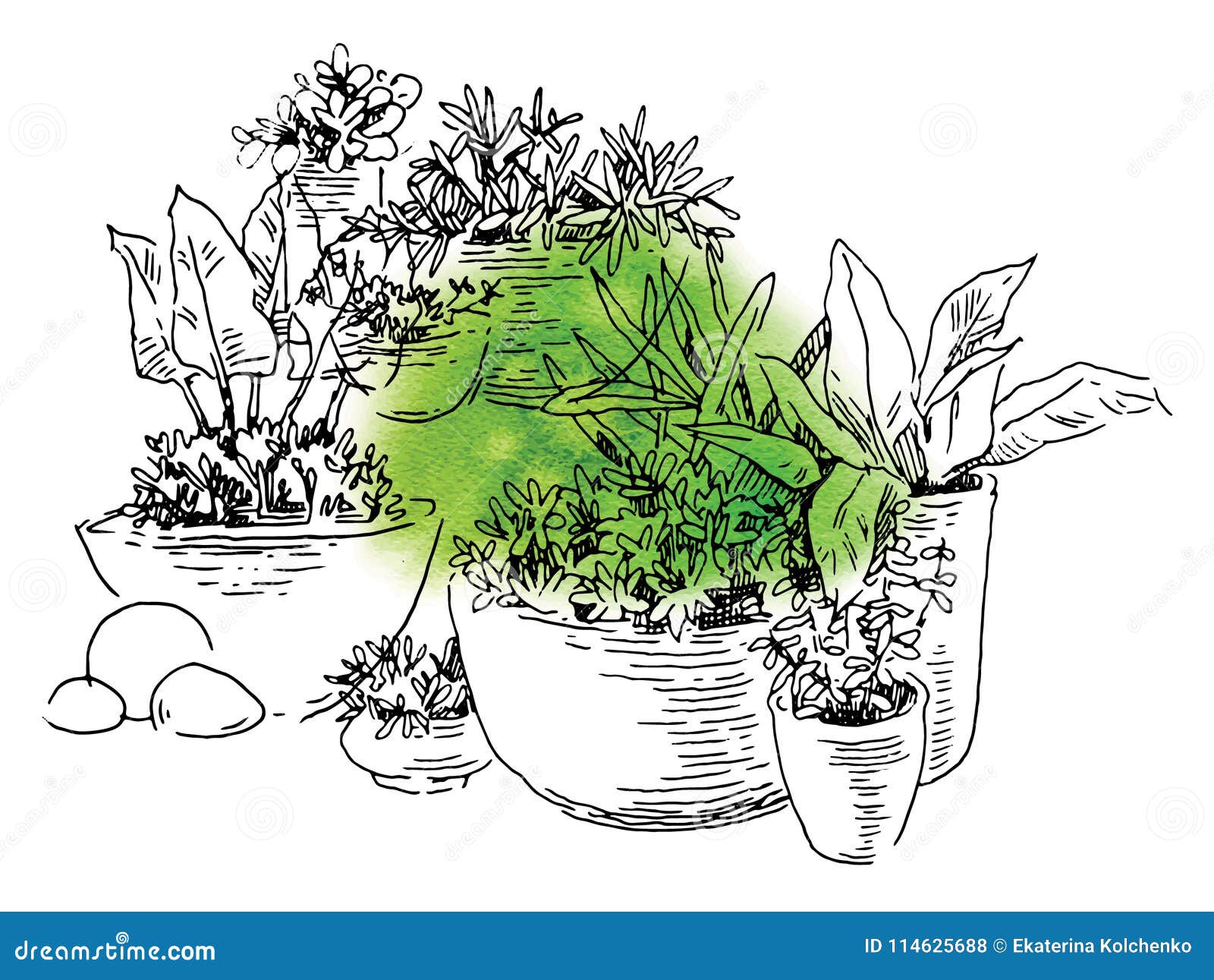 Garden elements sketch stock vector. Illustration of landscape - 114625688