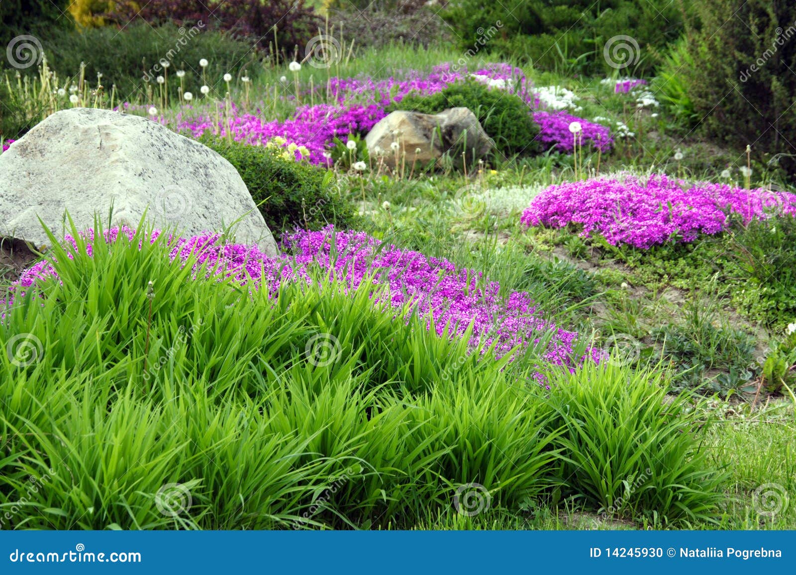 Garden Design with Rocks and Flowers (5) Stock Photo - Image of ...