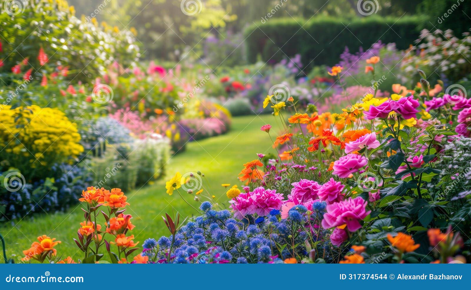 Garden with Different Flowers Stock Illustration - Illustration of ...