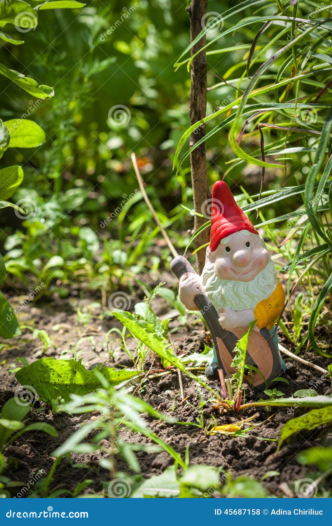 Garden Dwarf stock photo. Image of garden, outside, plant - 45687158