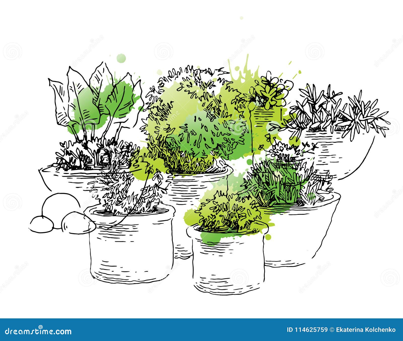 Garden elements sketch stock vector. Illustration of gardening - 114625759