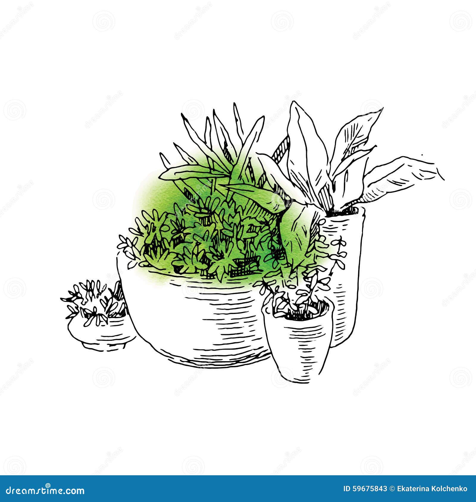 Garden elements sketch stock vector. Illustration of element - 59675843