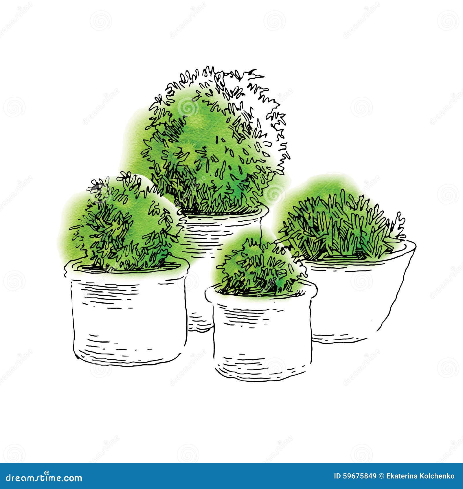 Garden elements sketch stock vector. Illustration of field - 59675849