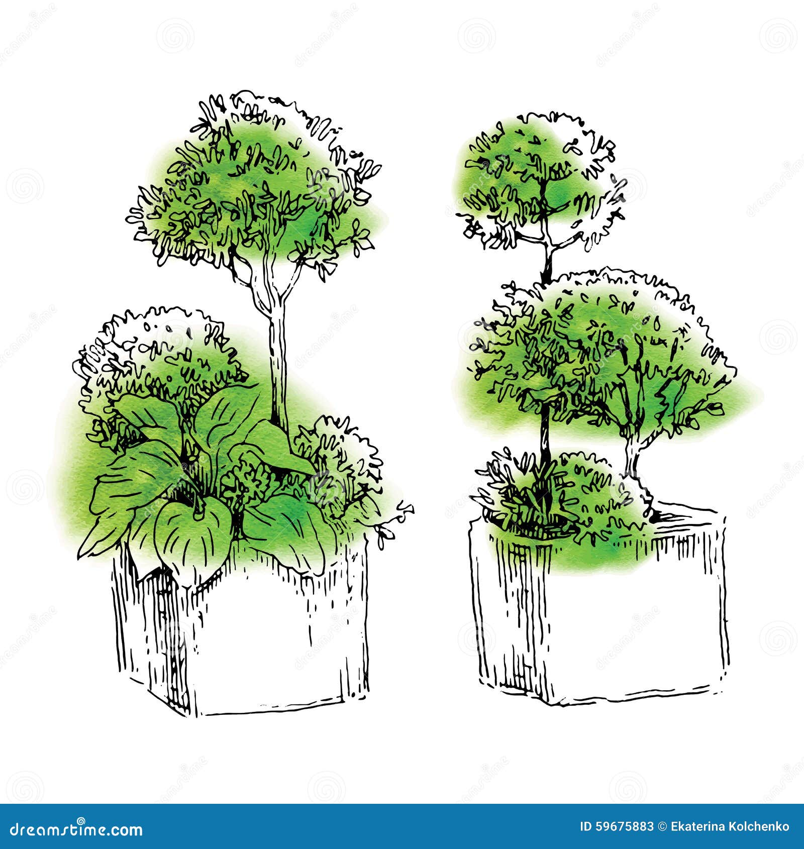 Garden elements sketch stock vector. Illustration of cactus - 59675883