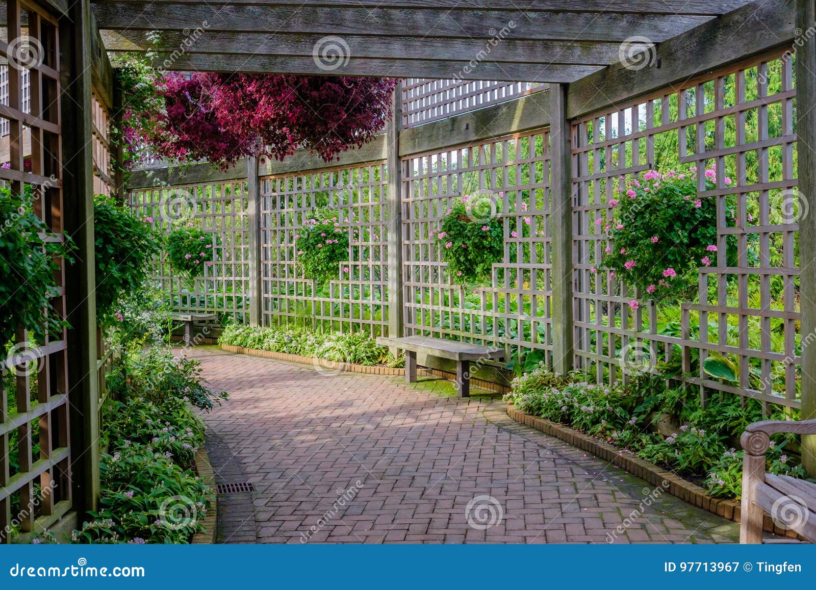 Garden enclosure stock image. Image of park, spring, flowers - 97713967