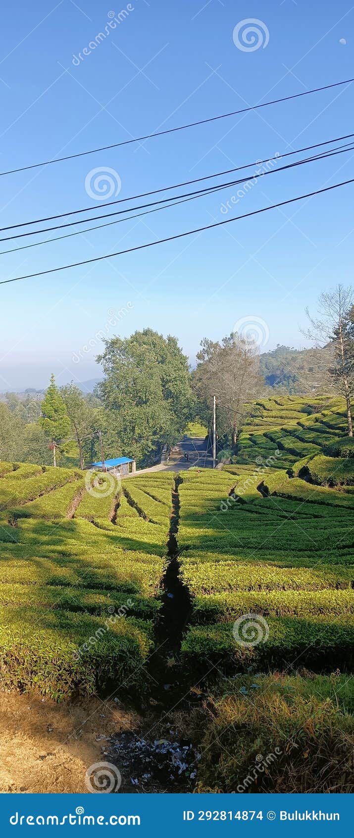 The Garden Expanse is Very Wide and Beautiful Stock Photo - Image of ...