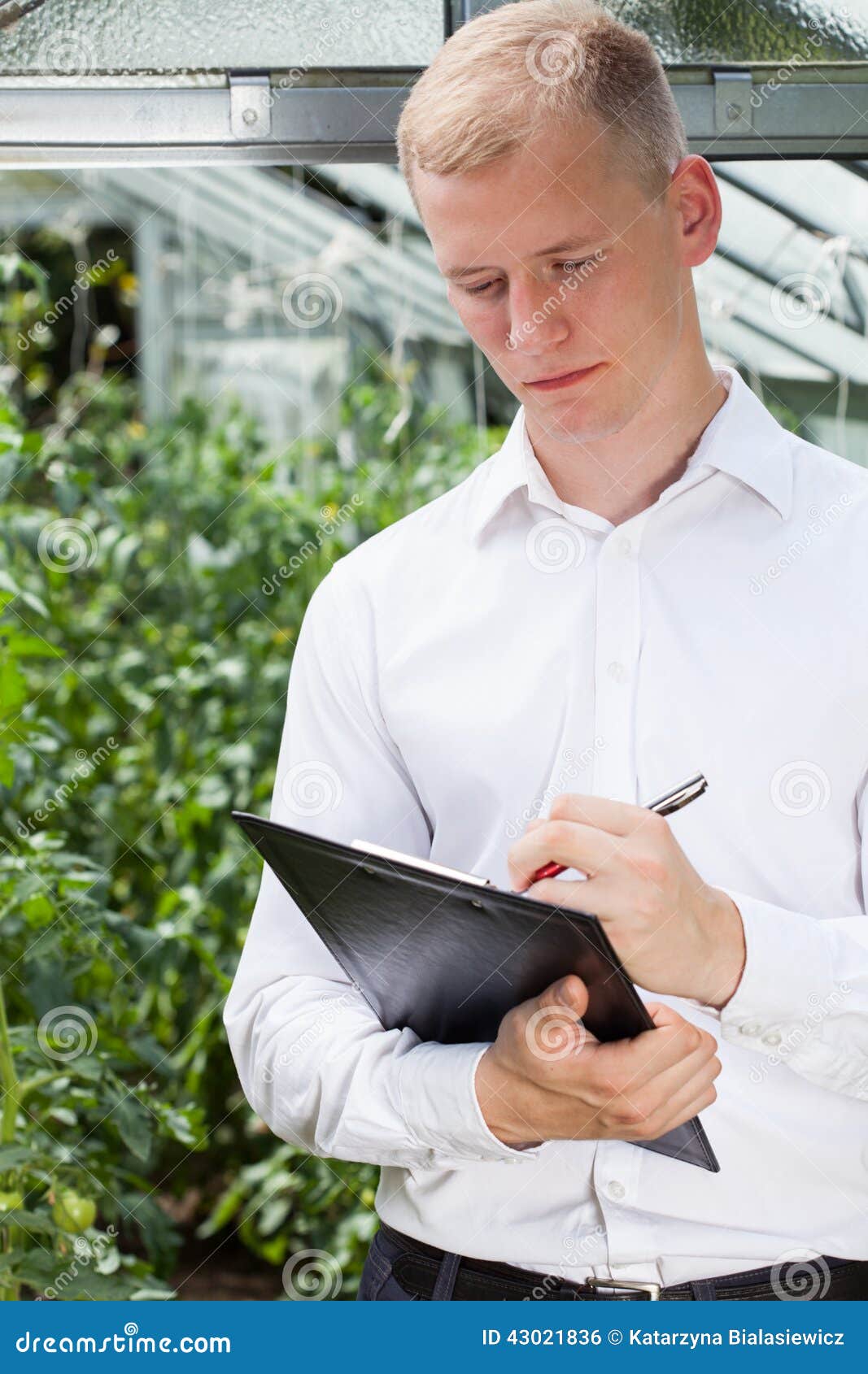 Garden Expert in Greenhouse Stock Photo - Image of person, nature: 43021836
