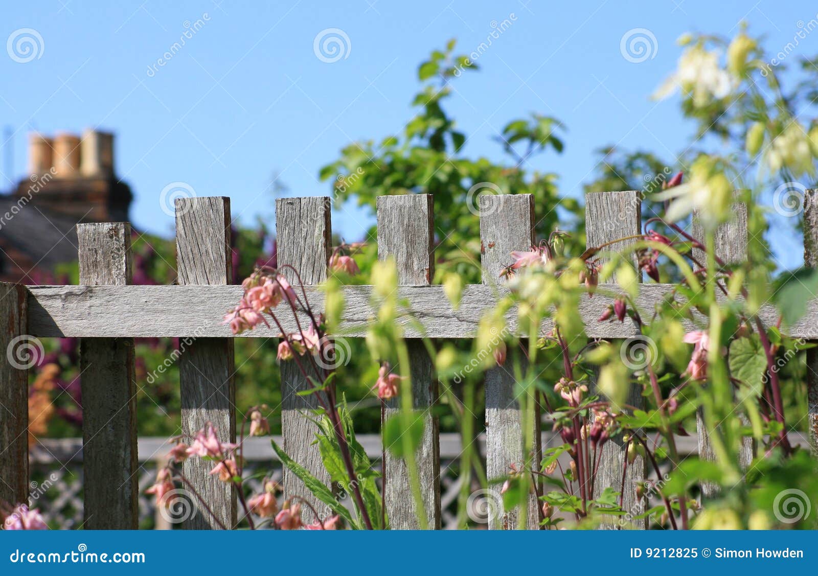 Garden fence stock image. Image of wood, chimney, foliage - 9212825