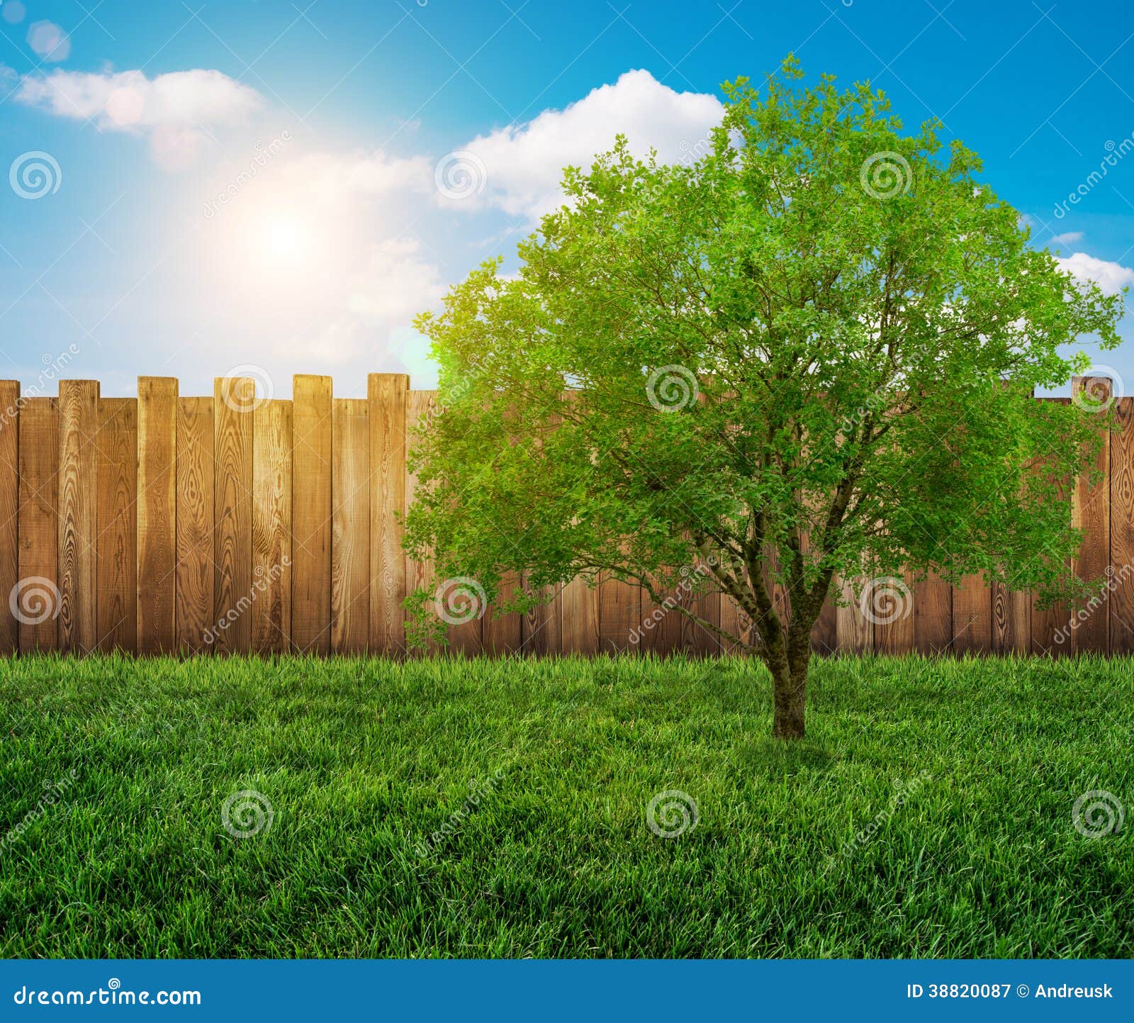 Garden fence stock image. Image of lawn, nature, hedge - 38820087