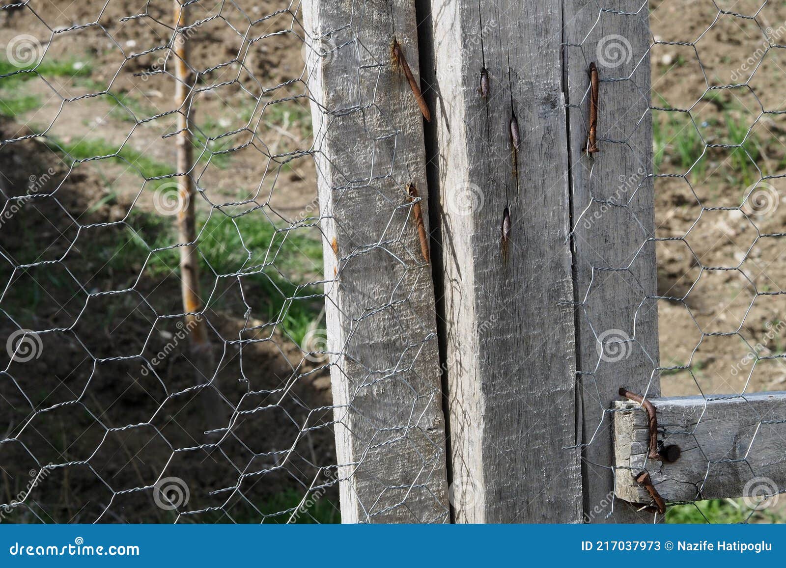 Garden Fence Made of Wood and Wire Stock Image - Image of gate, fence ...