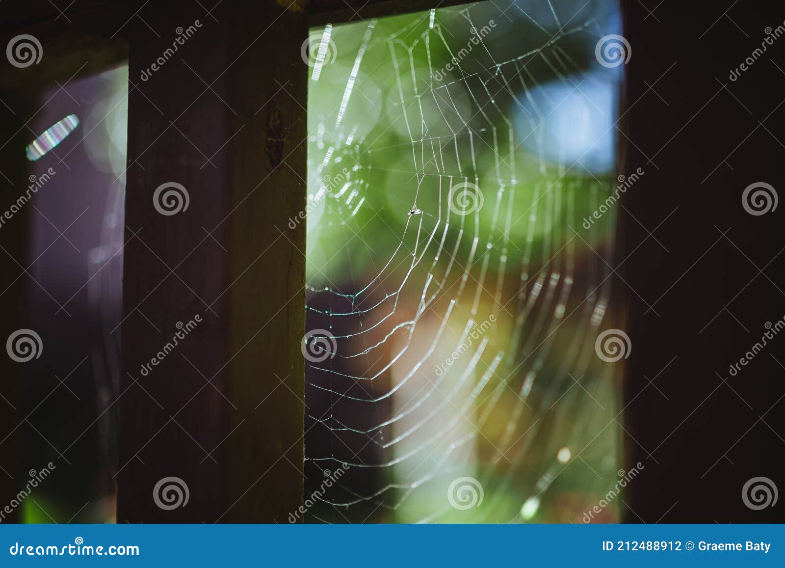 Garden Fence with Sun Peeping through and Illuminating a Cobweb Stock ...