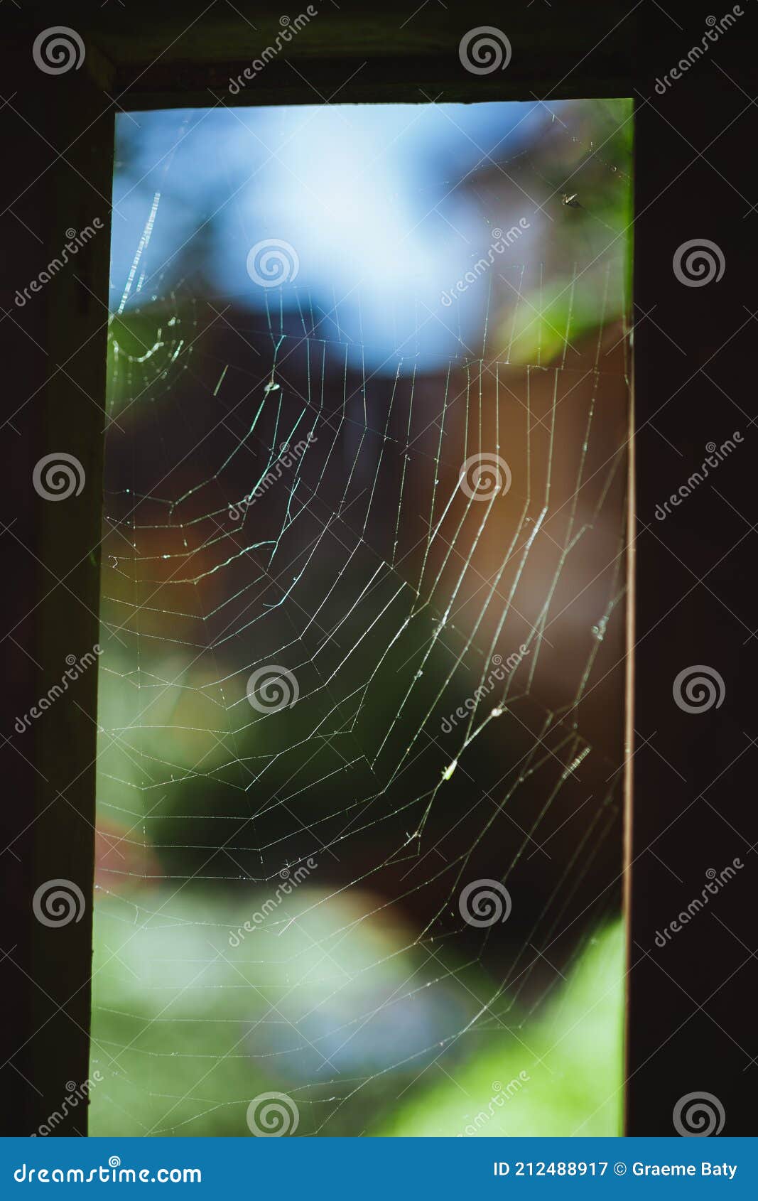 Garden Fence with Sun Peeping through and Illuminating a Cobweb Stock ...