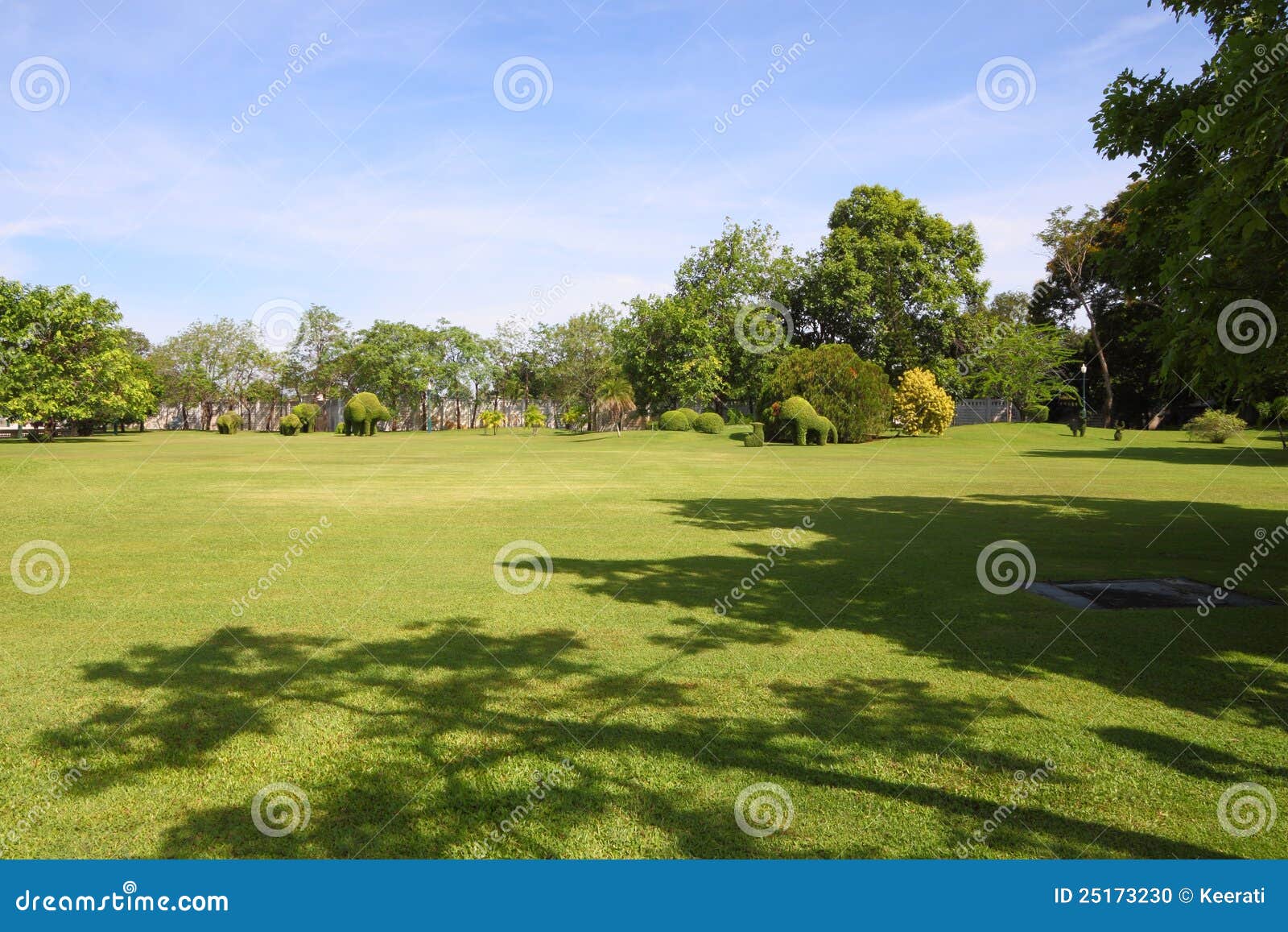 Garden field with shade stock photo. Image of meadow - 25173230