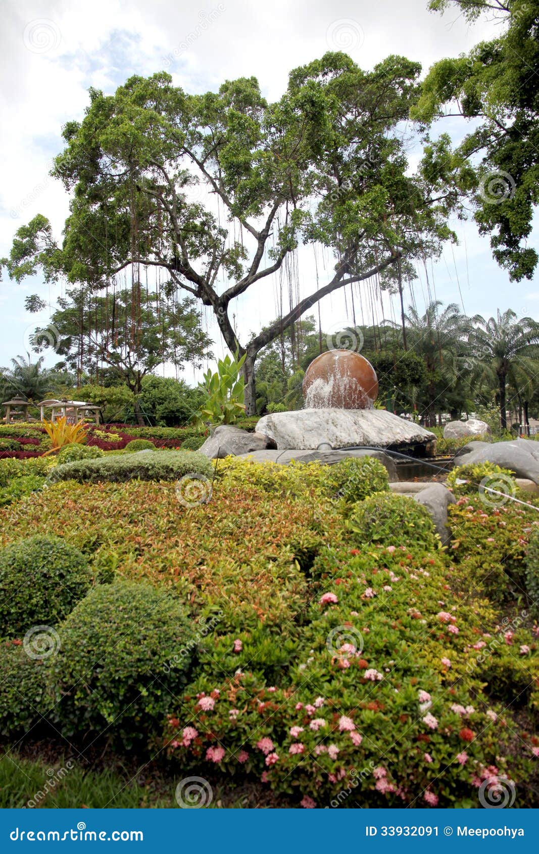 Garden Flower and the Big Tree. Stock Image - Image of sunlight, leaves ...
