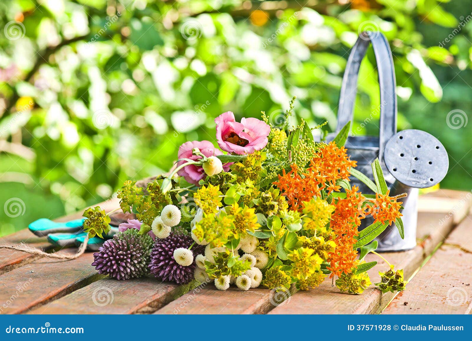 Garden flowers stock photo. Image of good, garden, color - 37571928