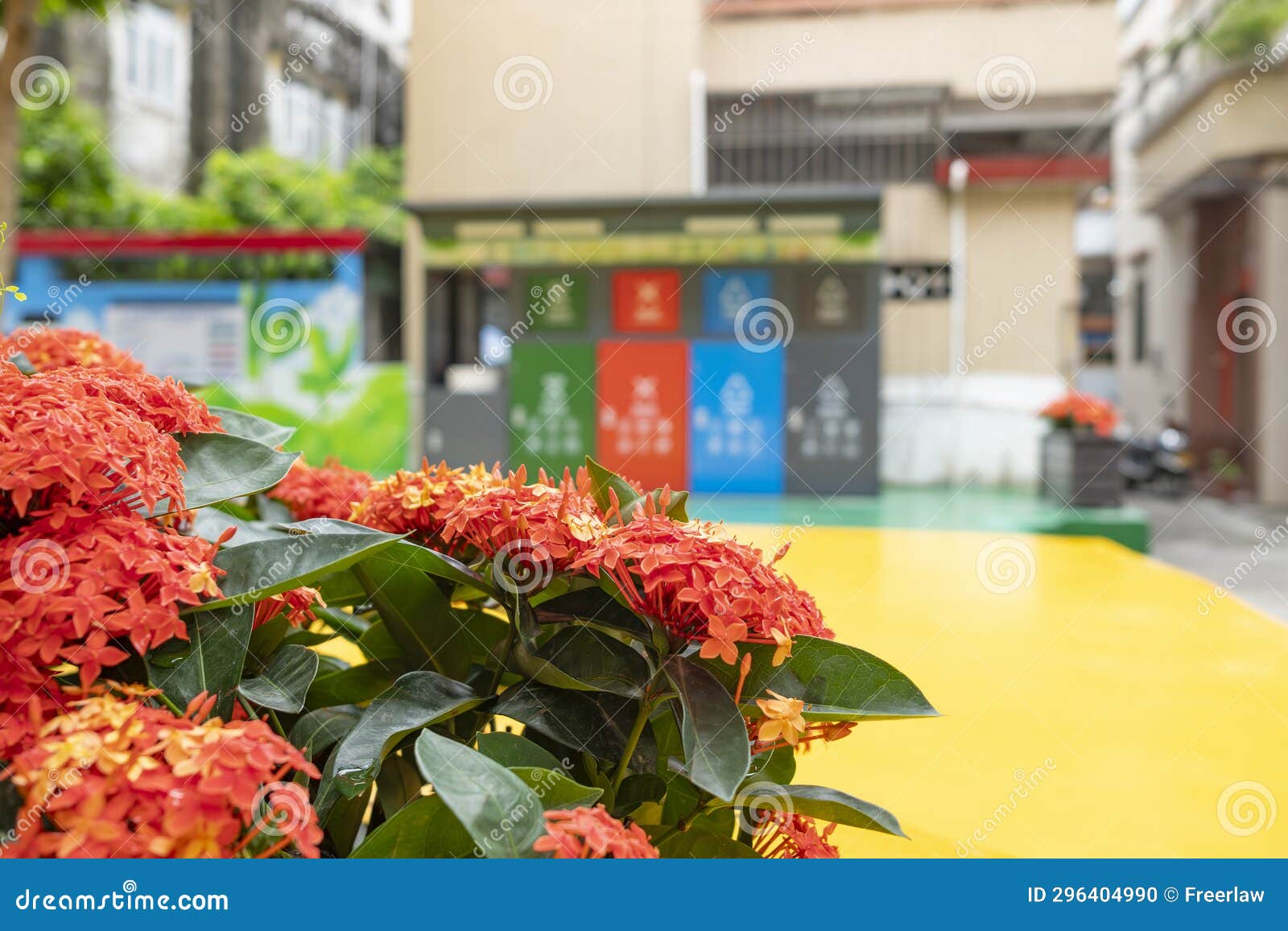 A Garden with Flowers and Different Colors Litter Bins for Garbage ...