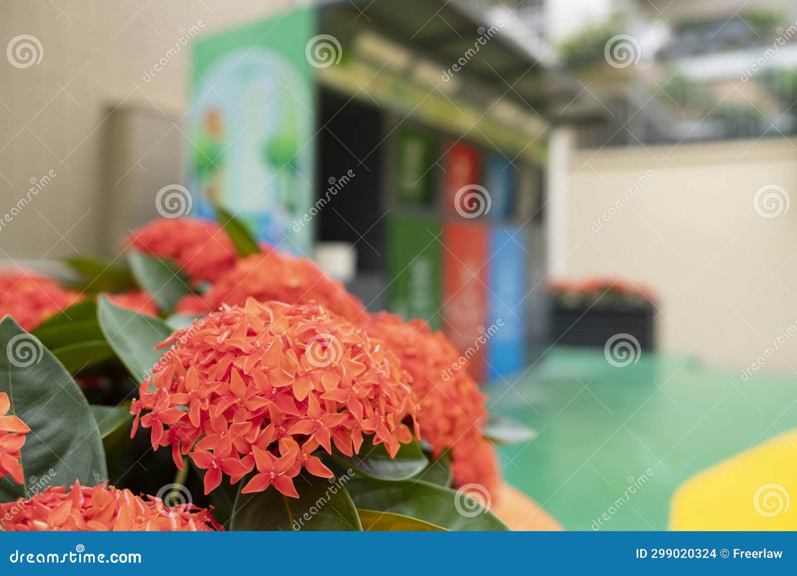 Garden with Flowers & Different Colors Litter Bins for Garbage Sorting ...