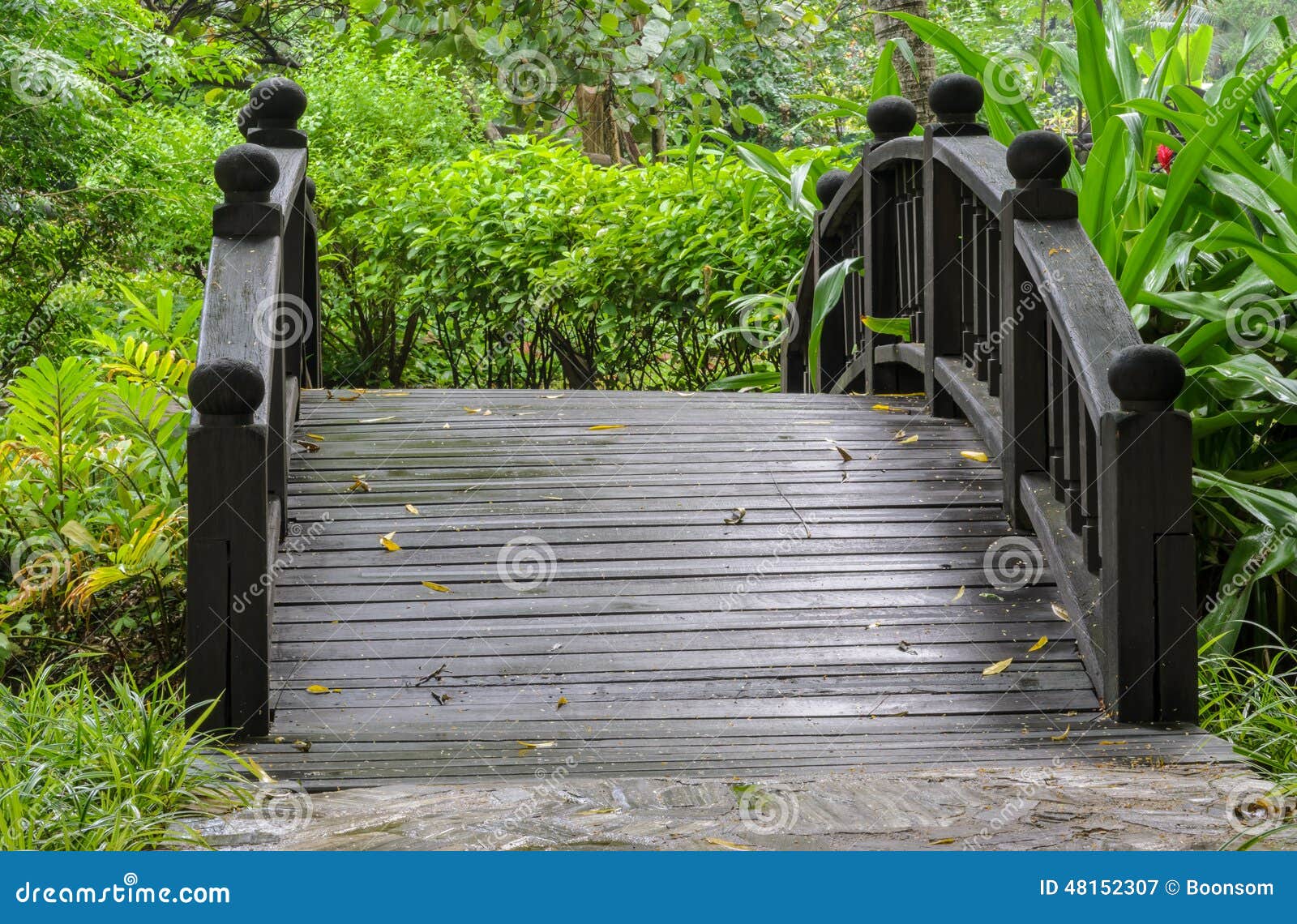 Garden foot bridge stock image. Image of tropical, bridge - 48152307
