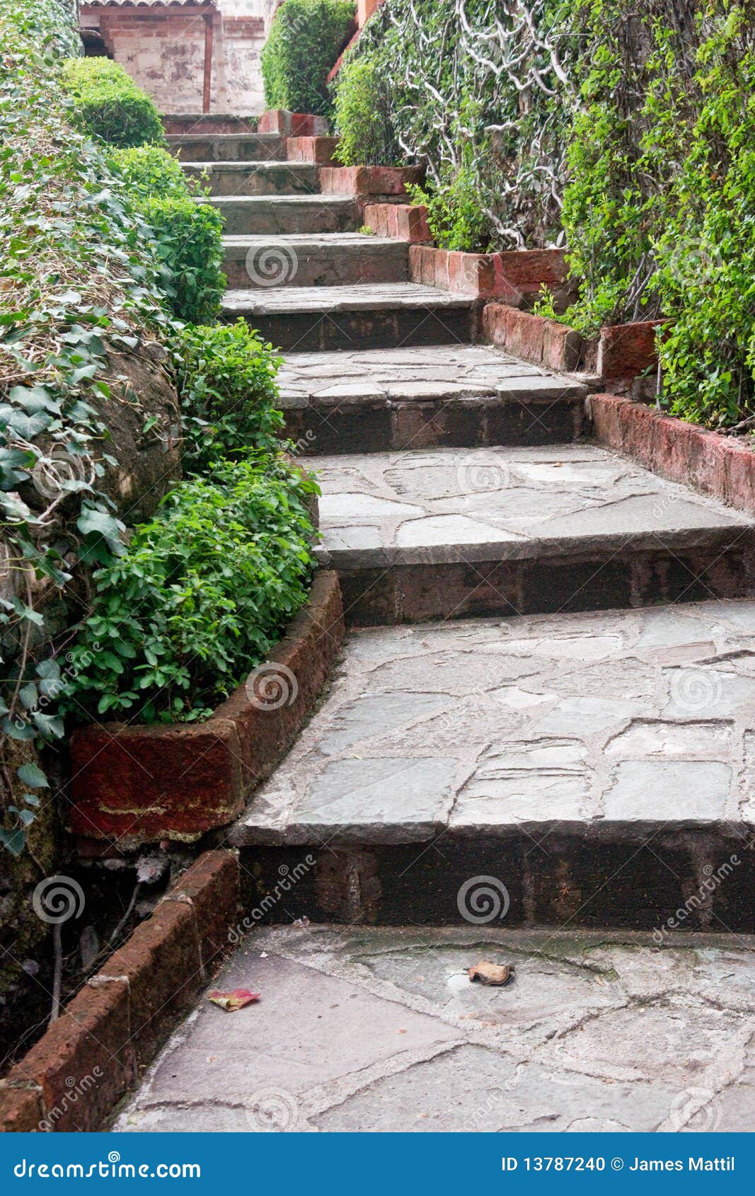 Garden Footpath stock photo. Image of historic, hacienda - 13787240