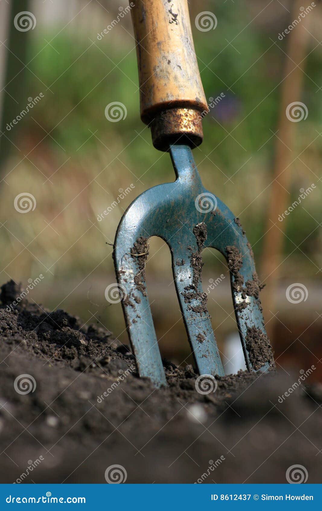 Garden Fork stock image. Image of detail, fork, gardening - 8612437