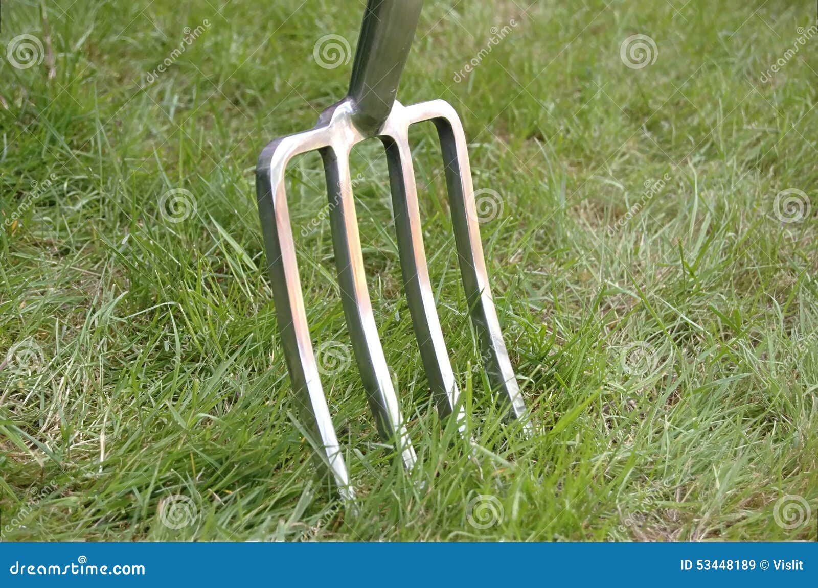 Forking A Lawn