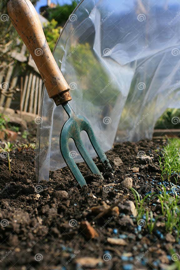 Garden Fork and Polly-tunnel Stock Image - Image of shoots, seedlings ...