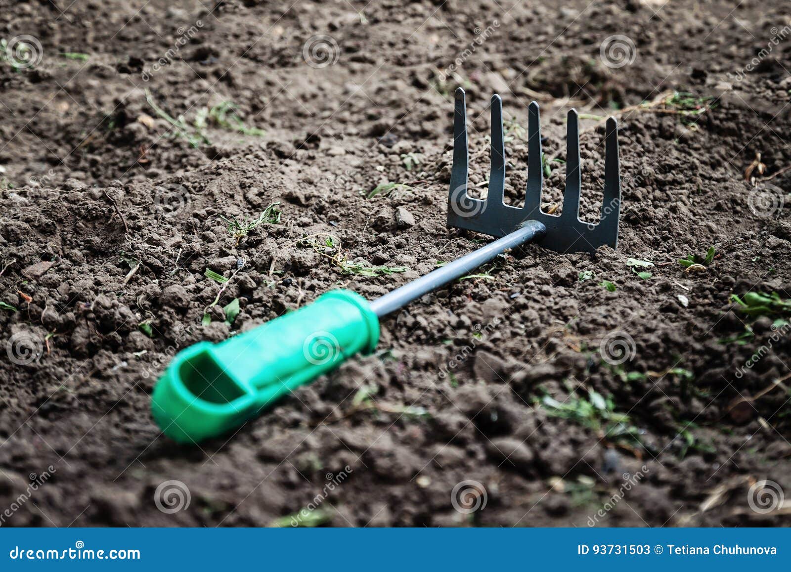 Garden Fork, Rake Lying on the Ground, Top View, Close-up Stock Image ...