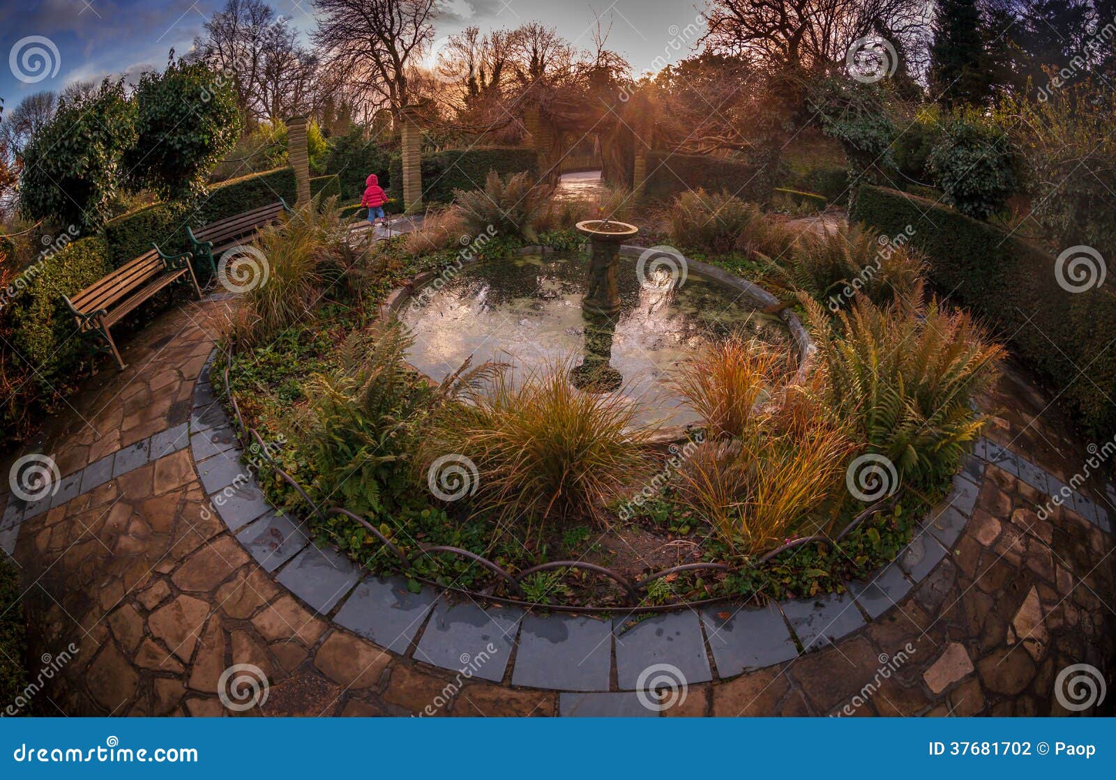 Garden fountain at sunset stock photo. Image of fern - 37681702